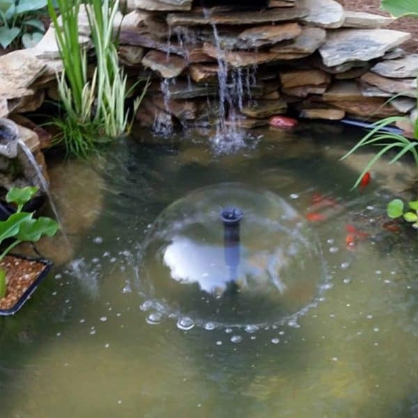 Creating a Healthy Ecosystem: The Key Role of Pond Aeration - We Know ...