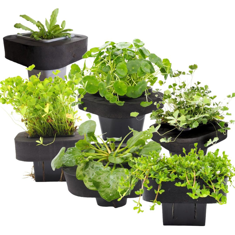 We Know Water Gardens