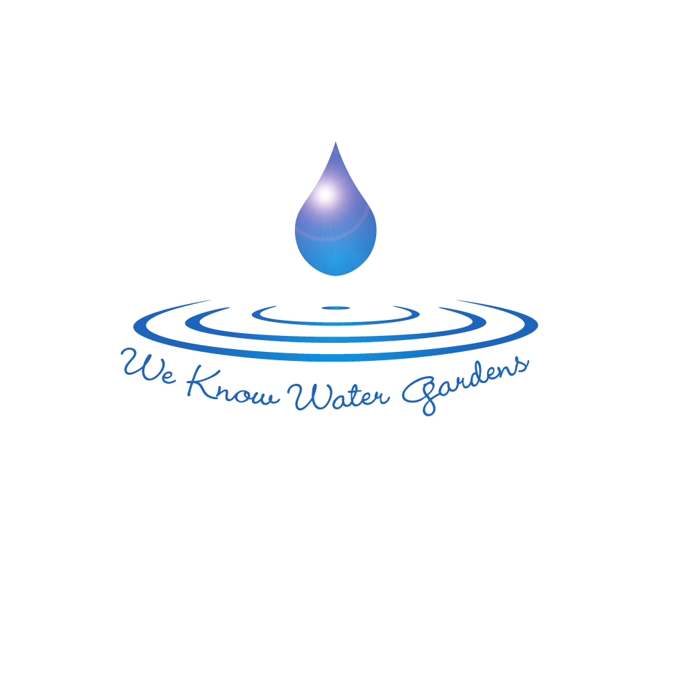 Essential Guide to Water Plants for Small Ponds: Our Top Pond Plants t ...