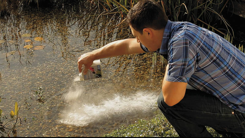 Buy Algaecides for Ponds | Oase Algo Direct 500ml – We Know Water Gardens